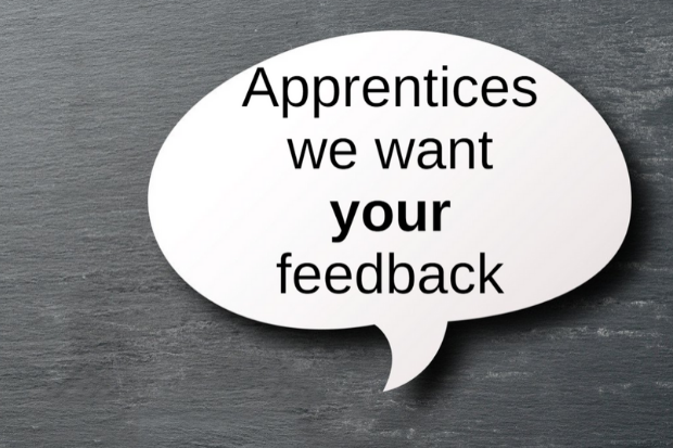 Getting real-time feedback from apprentices – ESFA Digital